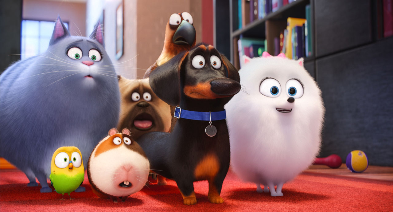 "The Secret Life of Pets 2" chính thức ấn định thời gian ra mắt