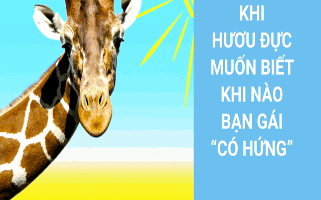 CÔN TRÙNG GIAO PHỐI, tin tức Mới nhất 6 phong cách tán tỉnh kỳ dị trước ...