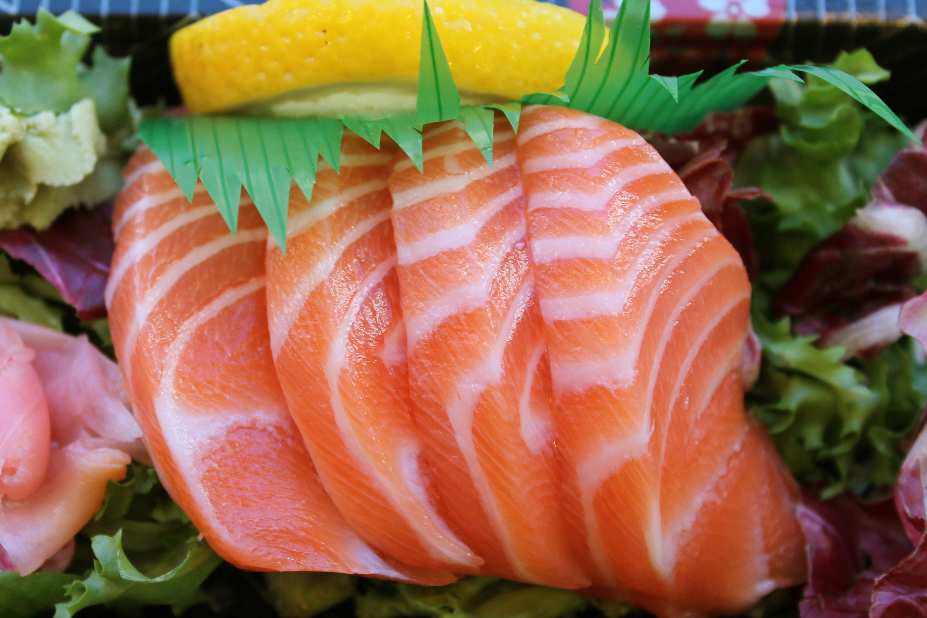 Cá hồi nuôi và cá hồi tự nhiên: loại nào mới thực sự tốt?