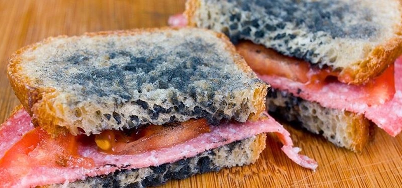 Thực phẩm bị mốc: Nên vứt hay giữ lại ăn tiếp?