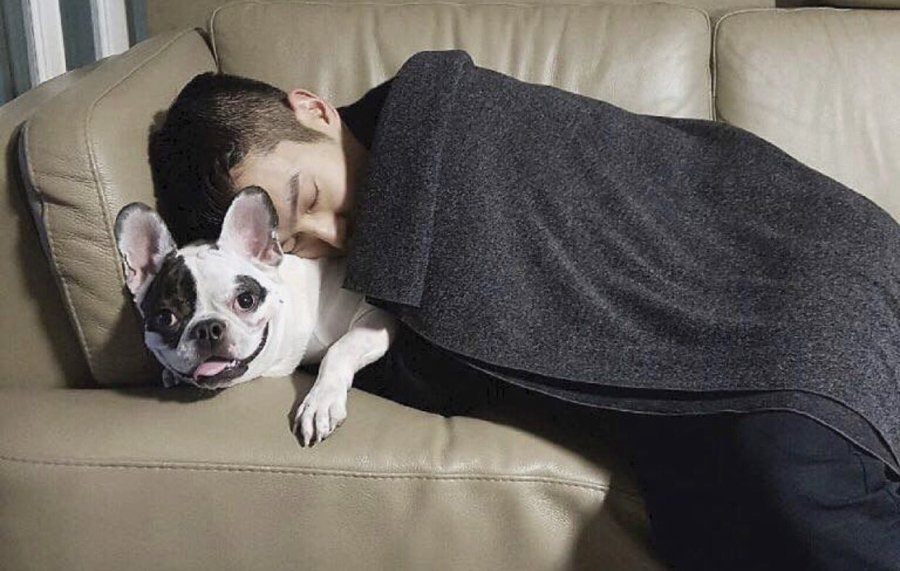 Vụ chó của Siwon cắn người: Công bố bức hình CEO quá cố tự chụp lại vết cắn