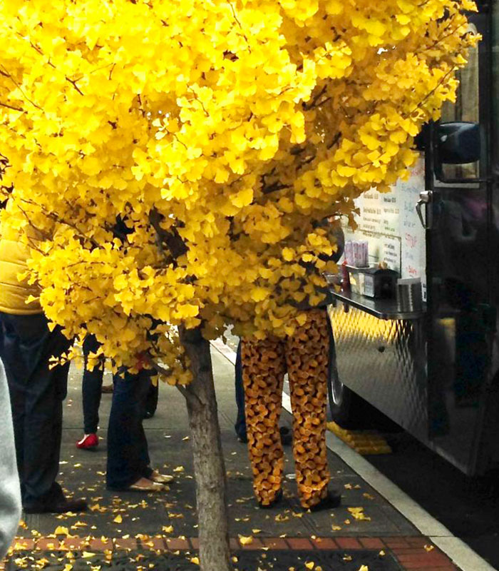 Hoa mắt chóng mặt với 21 khoảnh khắc trùng hợp tình cờ đầy bất ngờ