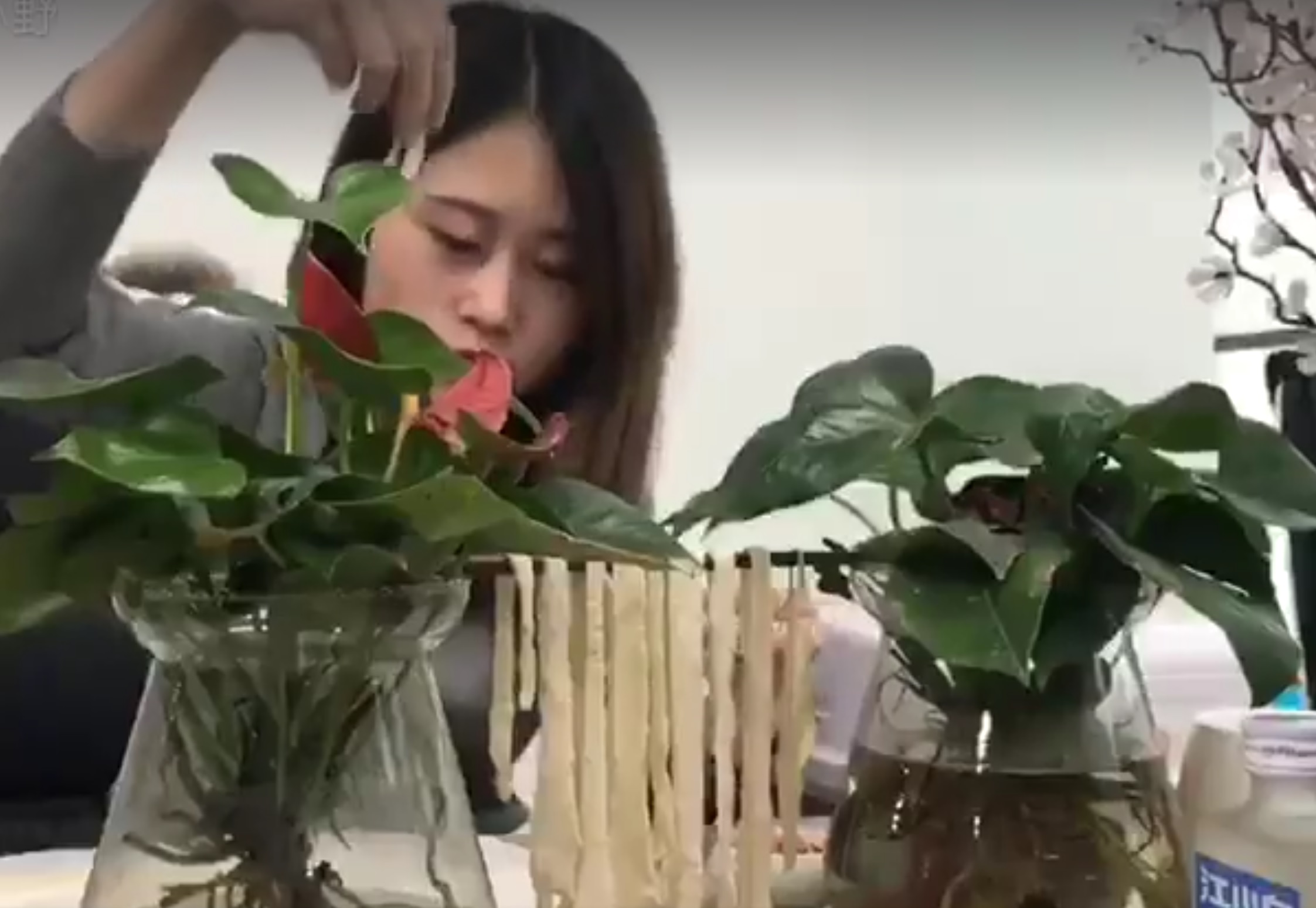 Đem đồ ăn tới văn phòng xưa rồi, giờ nấu lẩu và ăn luôn trong giờ làm ...