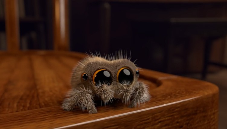 Gặp gỡ con nhện đáng yêu nhất thế gian, chúng ta sẽ khỏi hẳn căn bệnh ...