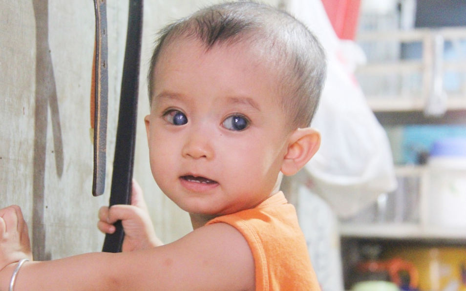 GHÉP GIÁC MẠC CHO CON TRAI, tin tức Mới nhất "Em quỳ gối xin mọi người ...
