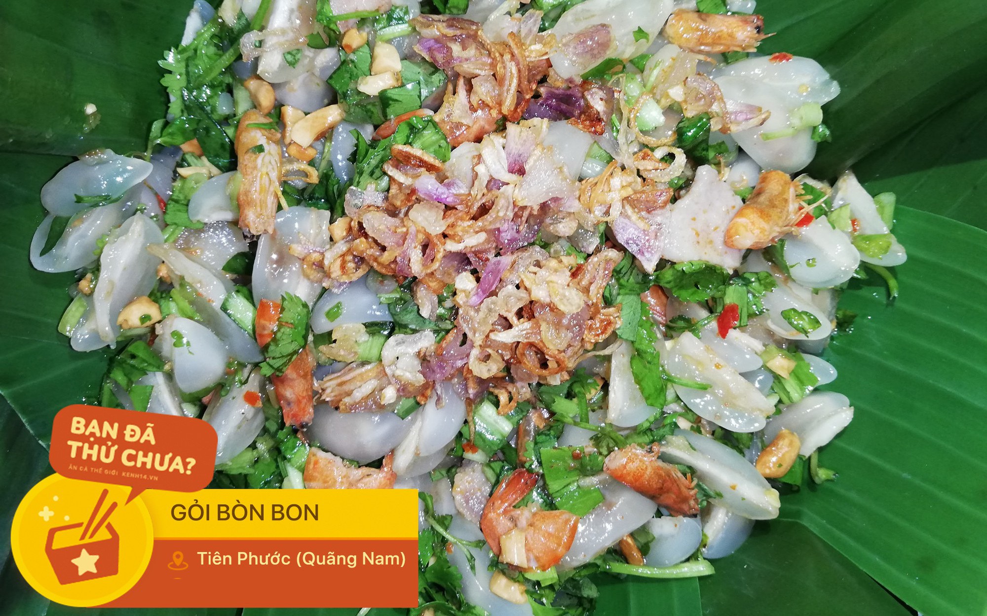 CÁC MÓN GỎI LẠ, tin tức Mới nhất Thưởng thức hết mọi loại gỏi đặc sản ...