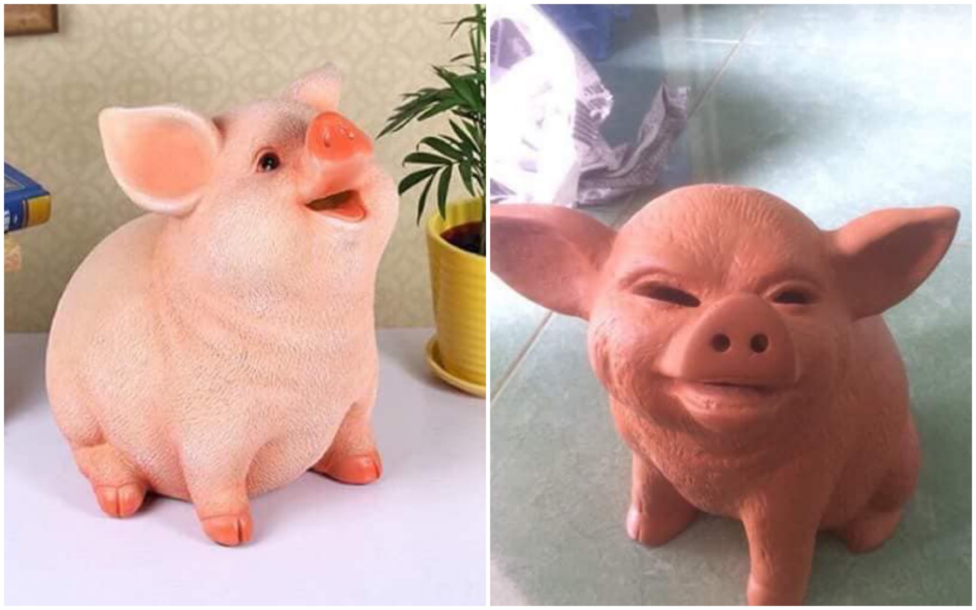 Đặt mua heo hồng cute qua mạng, thanh niên nhận về con lợn nhựa mặt mũi ...