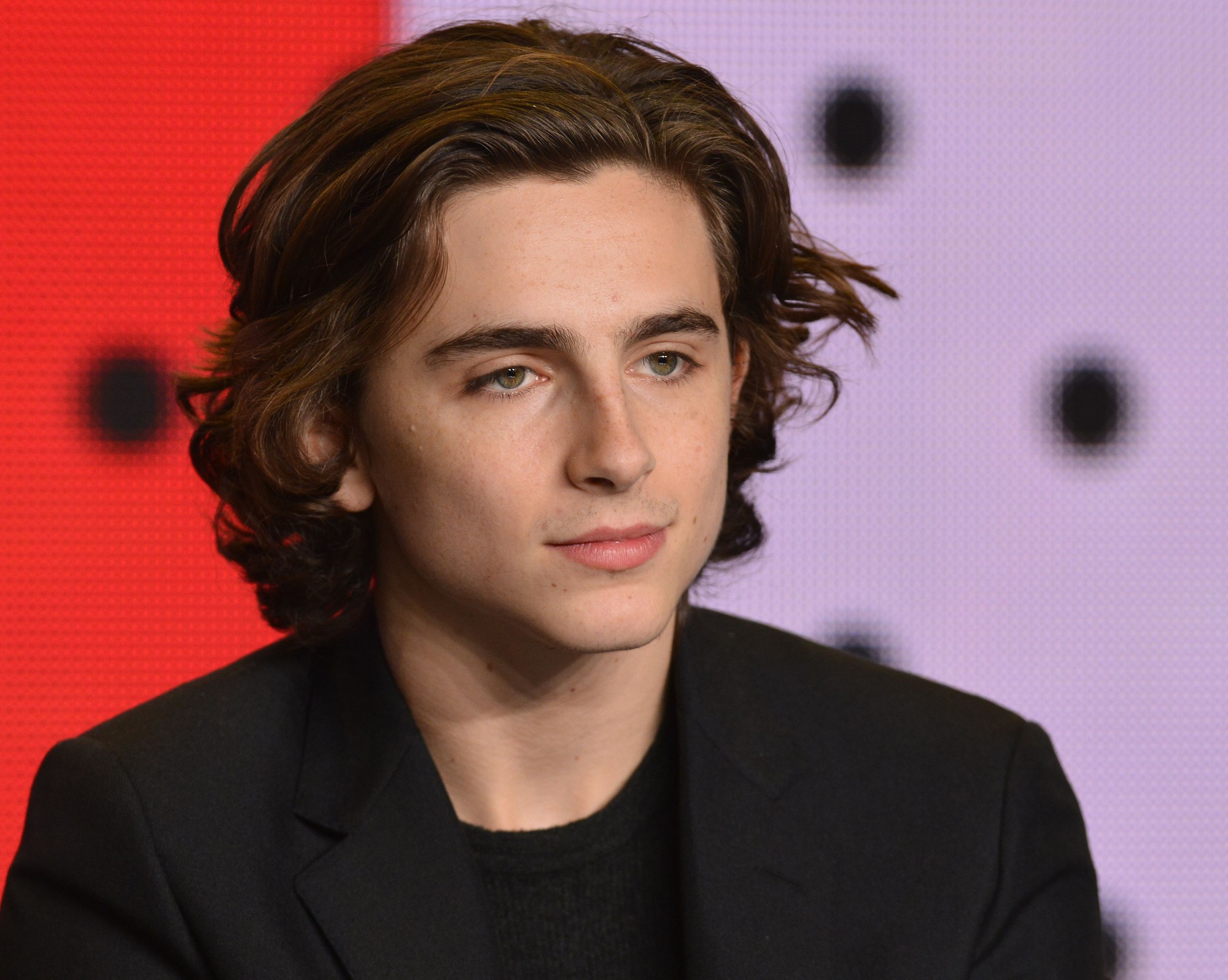 Timothée Chalamet và Armie Hammer - cặp nam chính được chú ý nhất hiện nay.