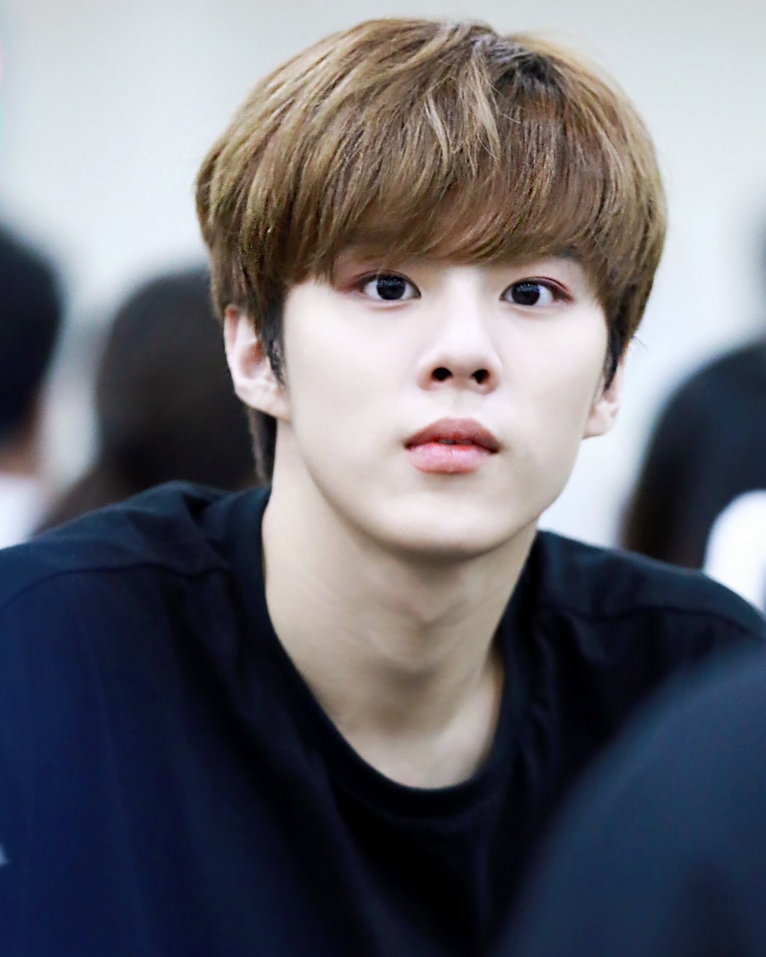 Top 3 visual "Produce X 101" được bình chọn bởi báo Hàn: Toàn mỹ nam ...