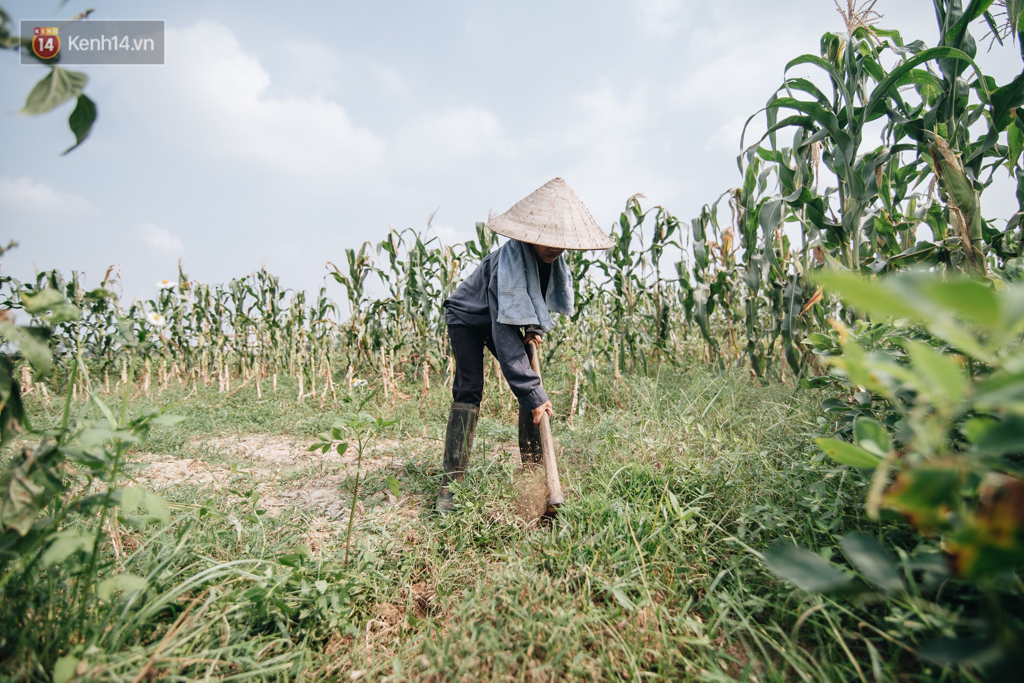 Bà Tân Vê Lốc: Từ người nông dân đến hiện tượng Youtube cán mốc 1 triệu ...