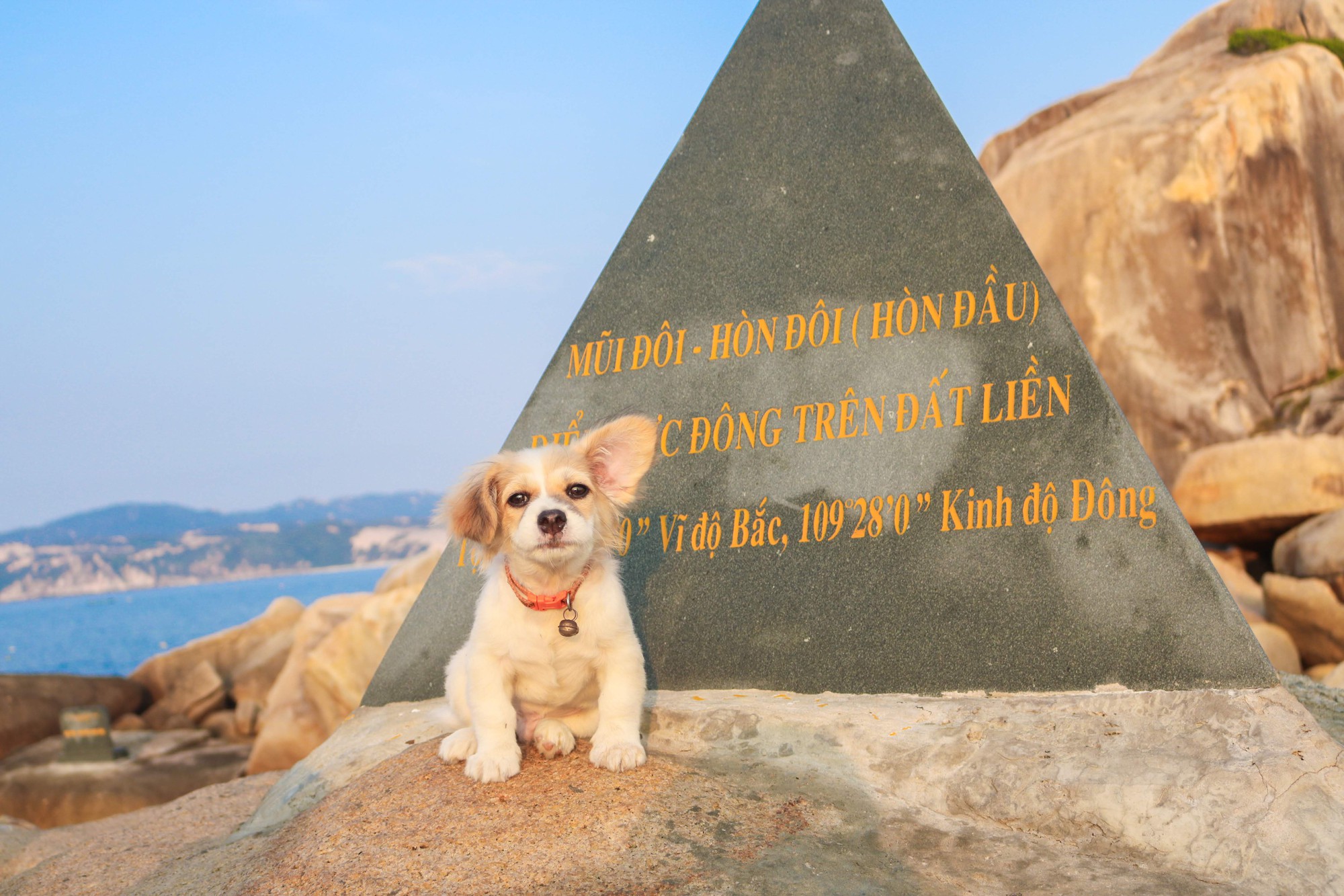 Cún cưng tên Tiểu Cư và hành trình đi phượt khắp nơi cùng cô cậu chủ ...