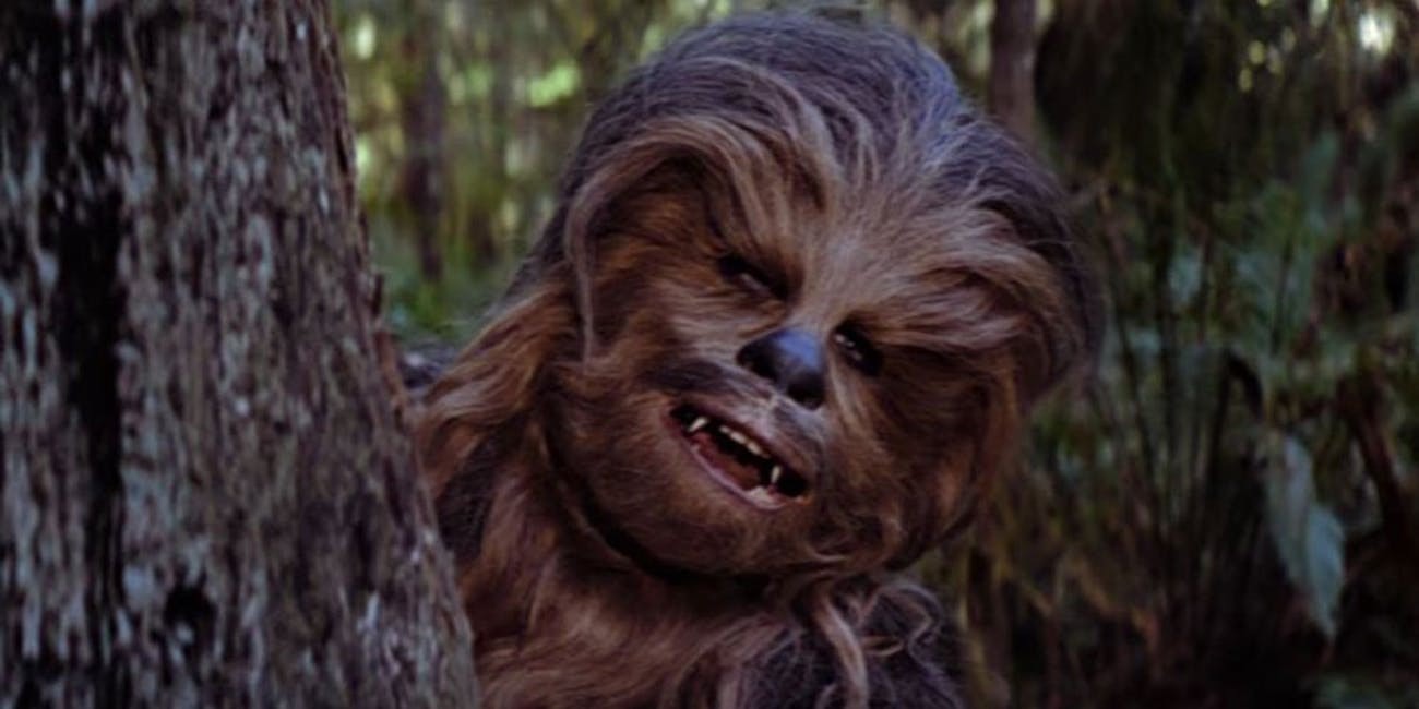 Sao Star Wars đóng vai Wookiee Chewbacca qua đời ở tuổi 74
