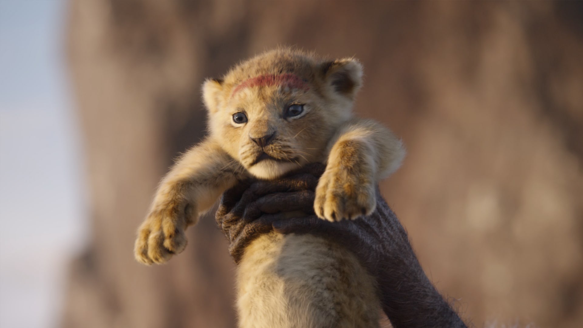 7 bài học cuộc sống rút ra từ The Lion King: Rốt cuộc 2 con "heo và ...