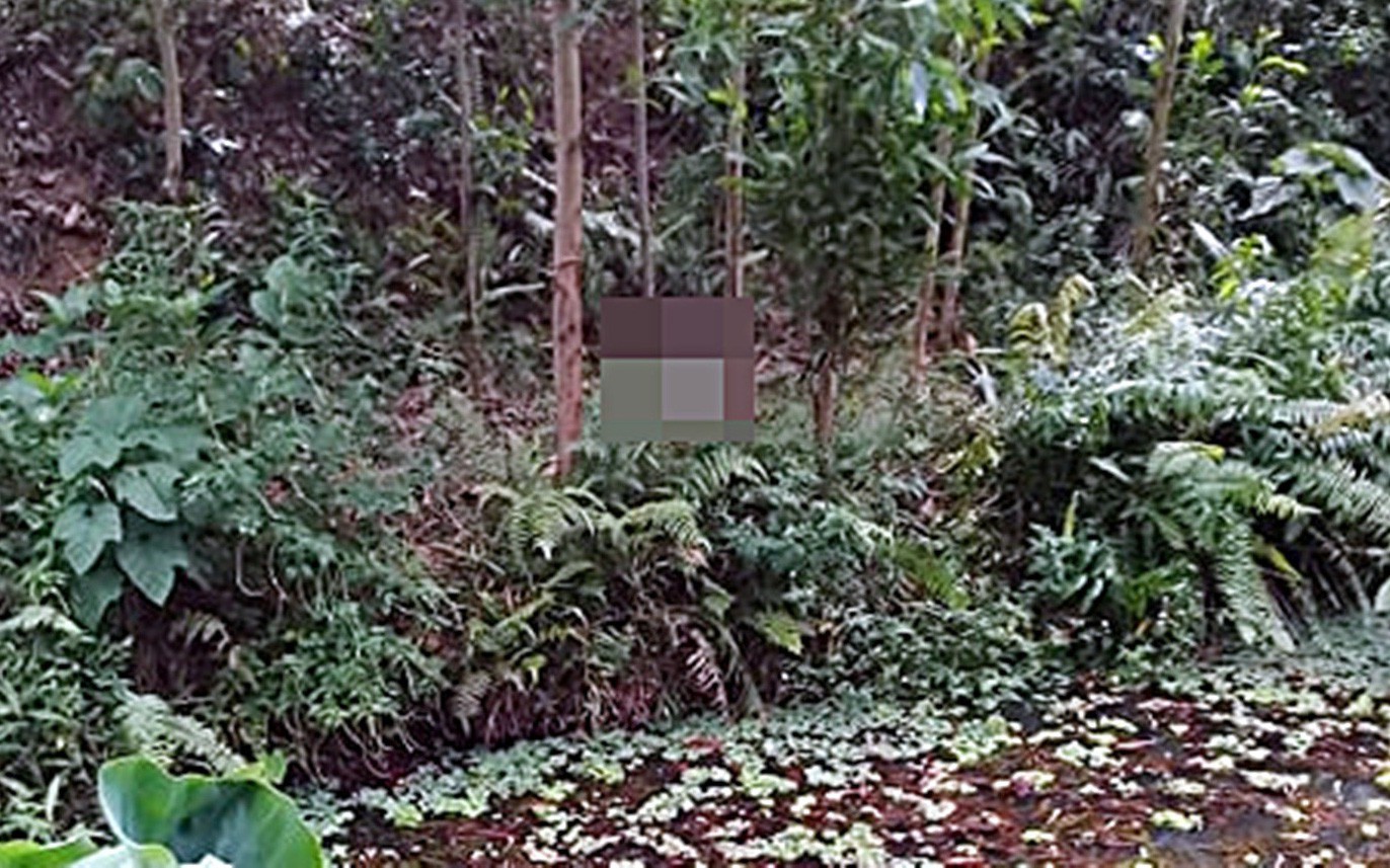 XÁC CHẾT ĐANG PHÂN HỦY, tin tức Mới nhất Hoảng hồn phát hiện xác chết ...