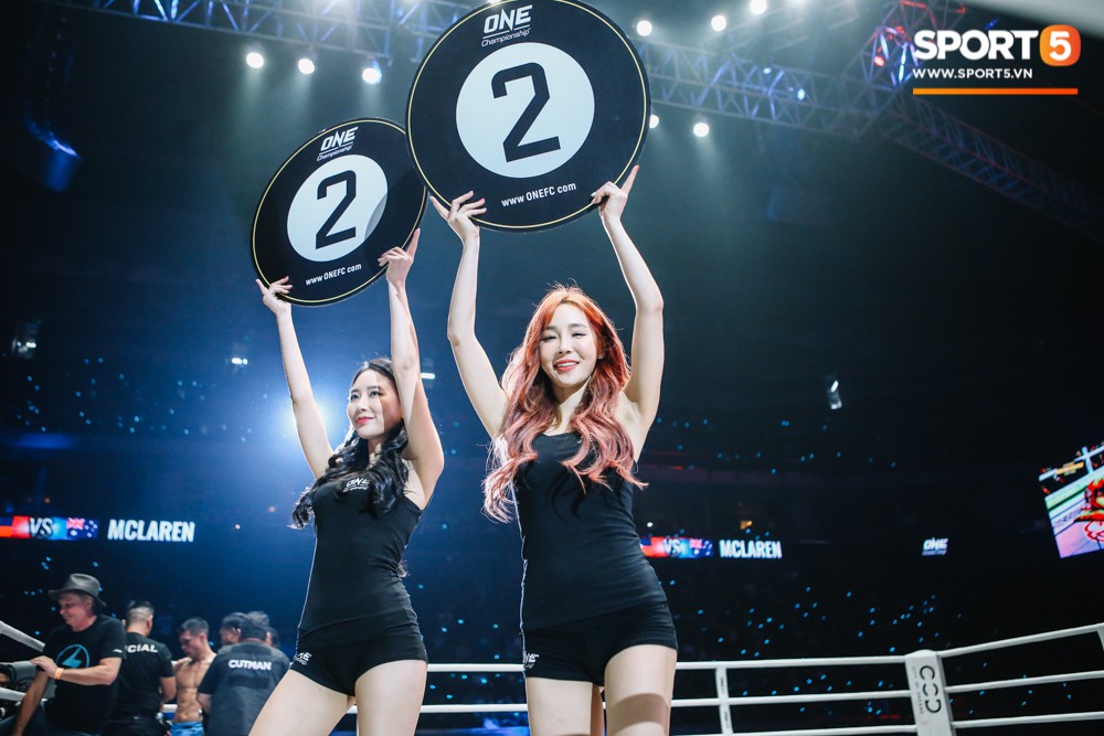 Háo hức chờ đợi dàn "Ring Girl" nóng bỏng sẽ xuất hiện trong sự kiện ...
