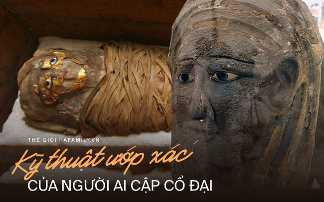 KĨ THUẬT ƯỚP XÁC AI CẬP, tin tức Mới nhất Quá trình ướp xác của người ...