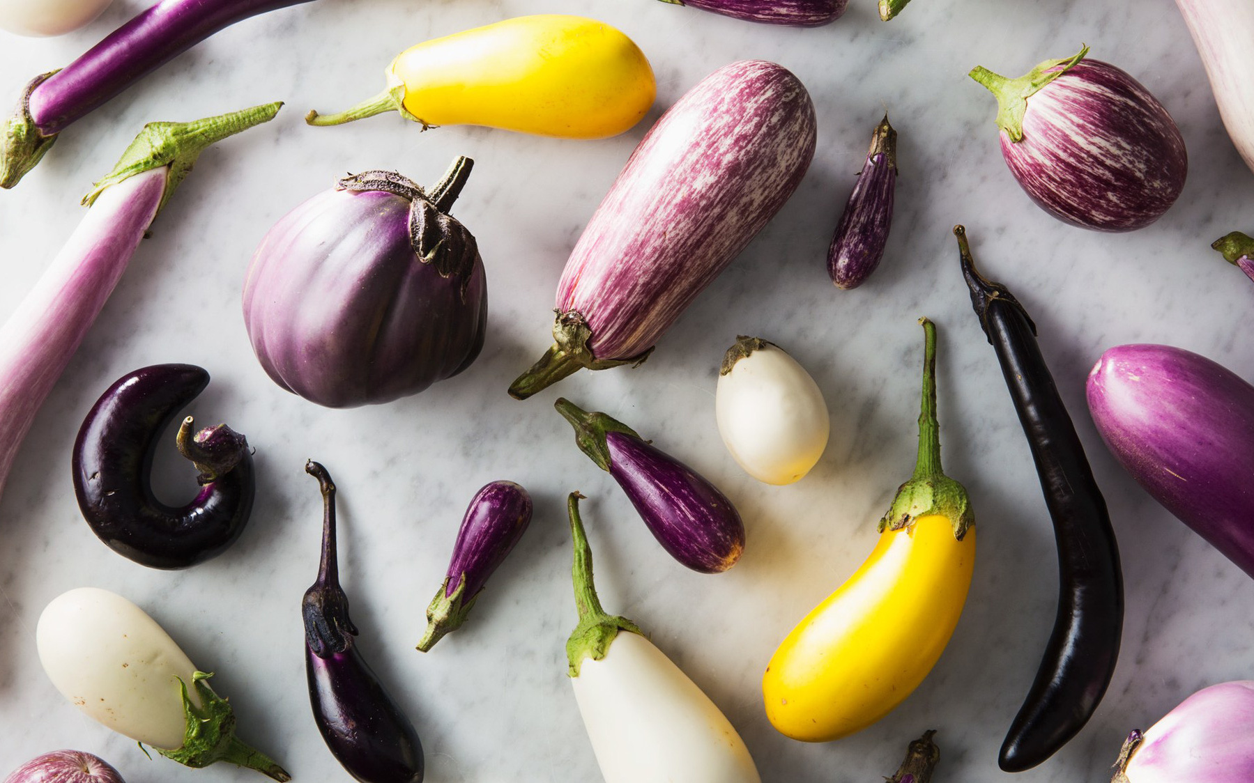 CÀ TÍM TRÒN, tin tức Mới nhất Cà tím tròn, cà tím dài và cà tím dạng củ ...