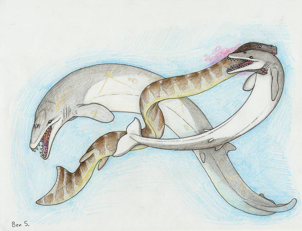 Vì sao 1/3 nhân loại lại sợ rắn và sự thật về những loài bò sát khổng ...