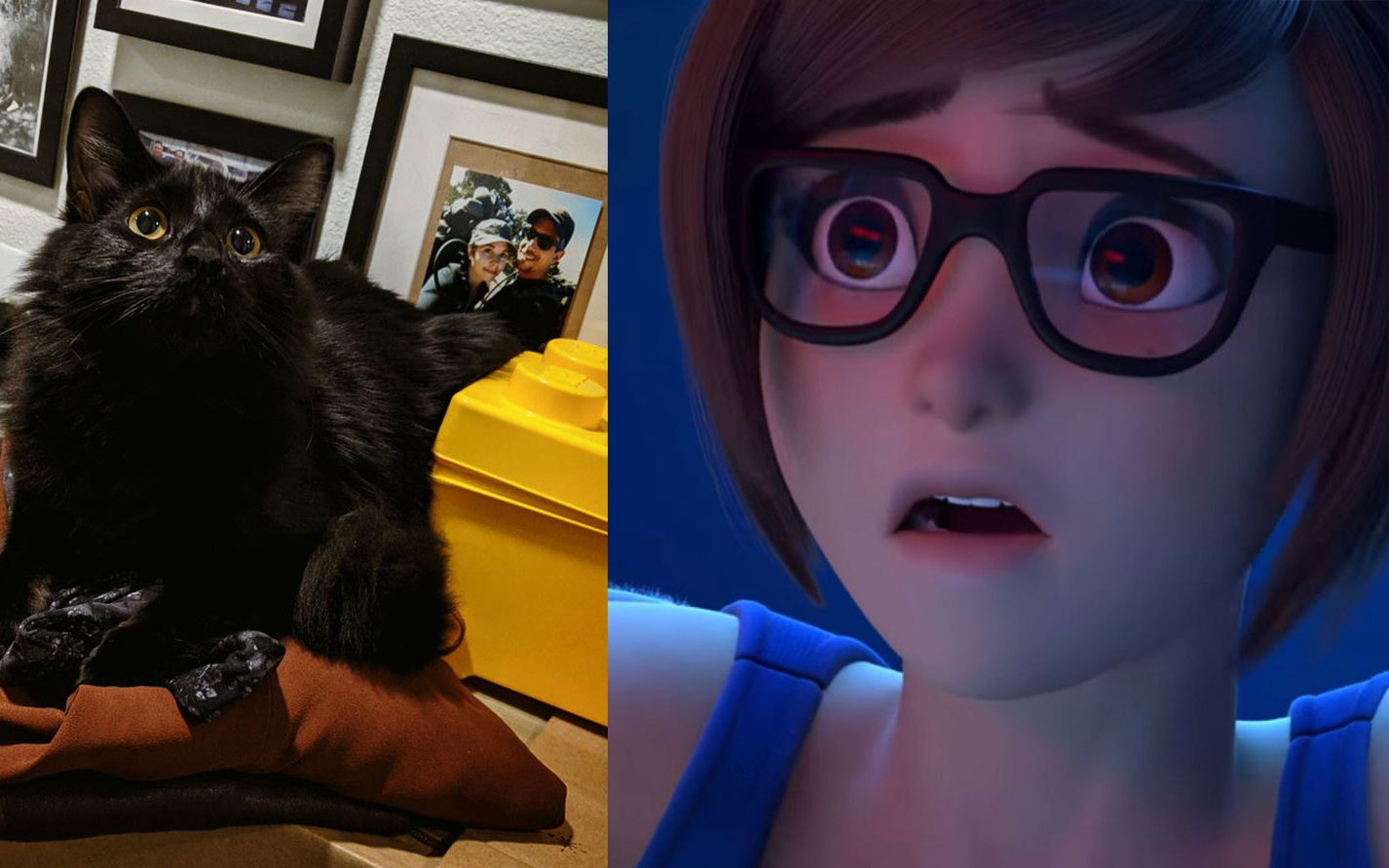 MEI, tin tức Mới nhất Vị tướng bị căm ghét nhất đã bị ban tại giải đấu ...