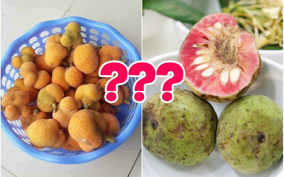 TRÁI CHAY, tin tức Mới nhất Cô gái đăng ảnh hỏi tên một loại quả với ...