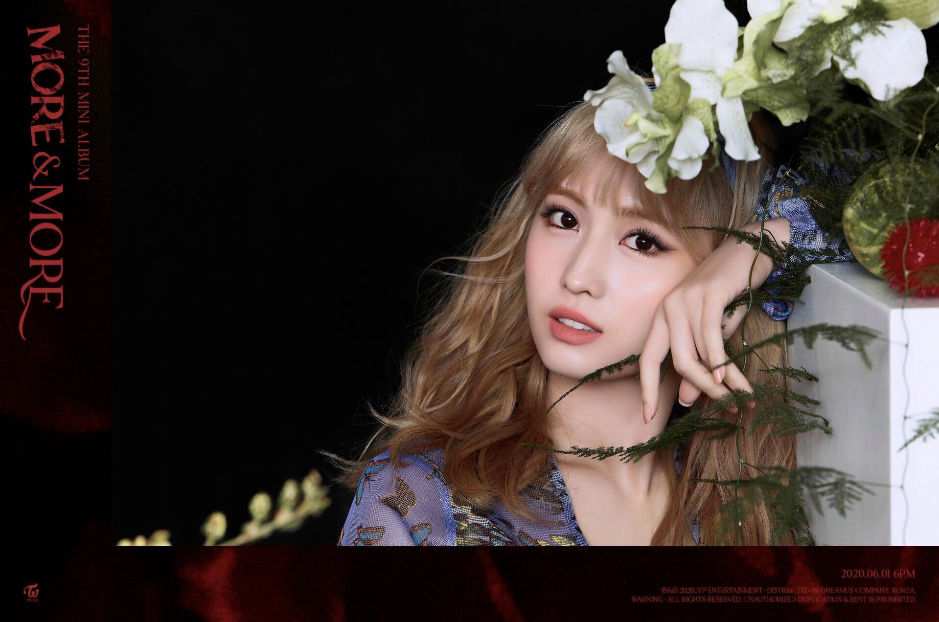 Momo (TWICE) vừa comeback đã bị chê tơi tả trong MV mới