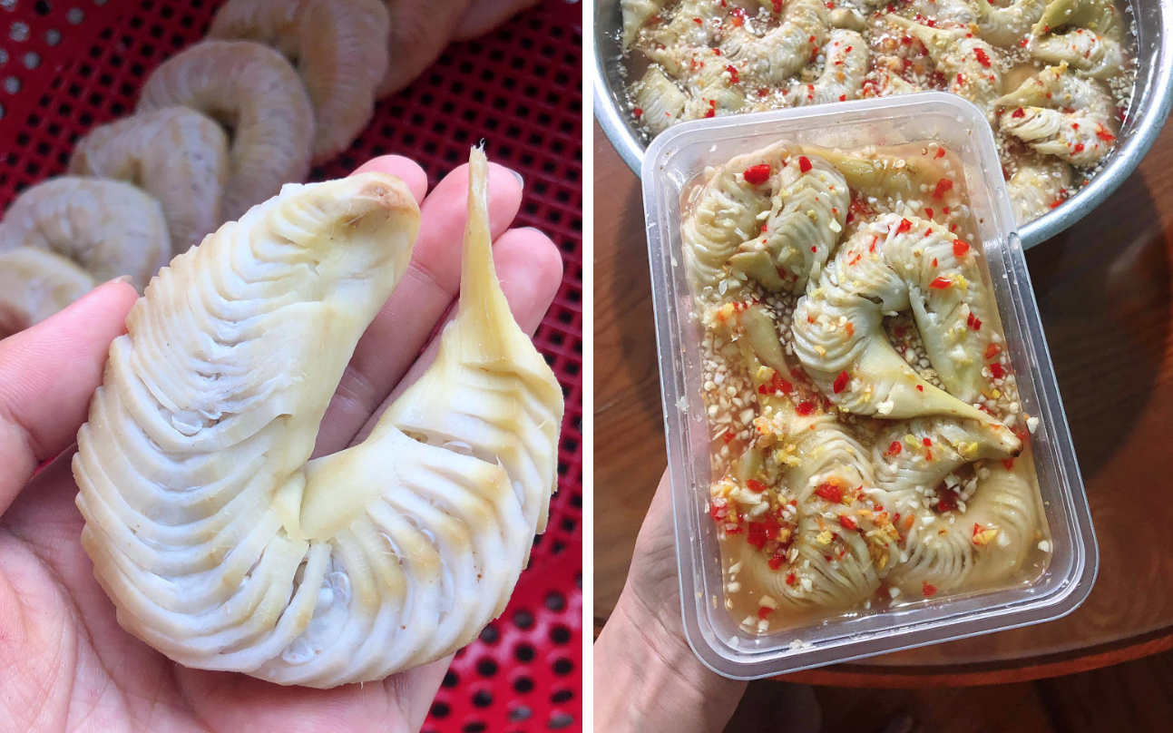 CHUỐI CHẦN, tin tức Mới nhất Món cá chuối lạ hoắc khiến ai nhìn vào ...