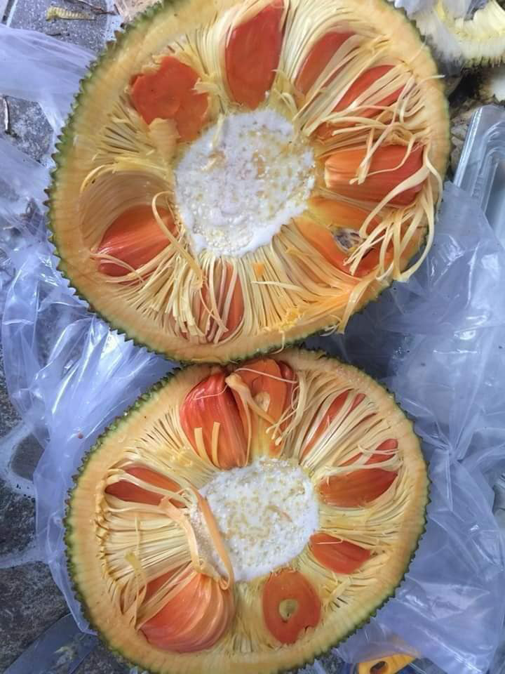 Lạ miệng mít ruột đỏ múi to dày, thơm ngọt có giá 120 ngàn đồng/kg vẫn ...