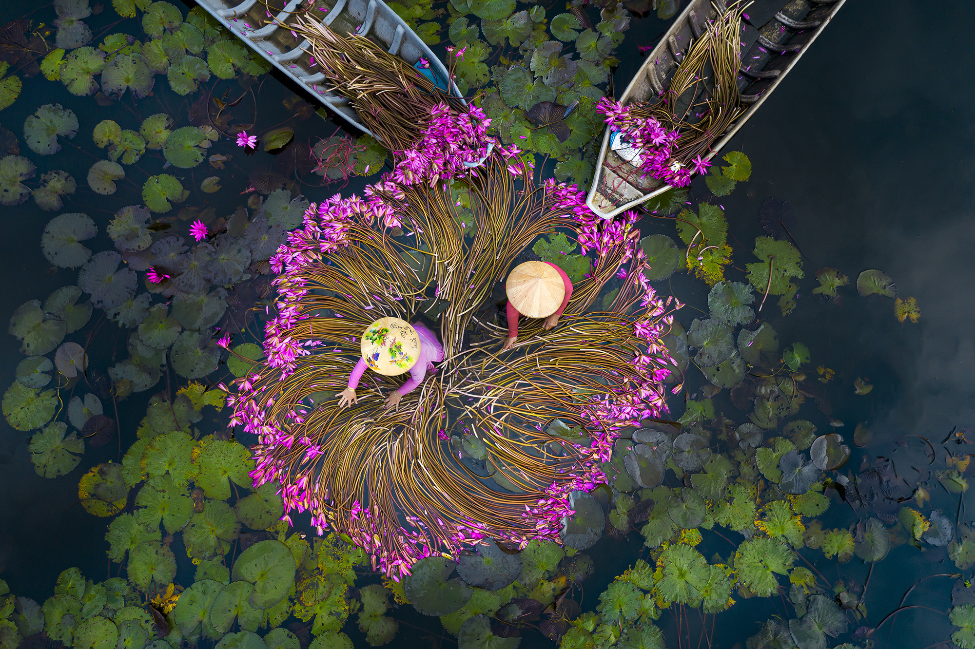 Gặp Khánh Phan - nữ nhiếp ảnh gia đưa cảnh đẹp Việt Nam vươn tầm quốc ...