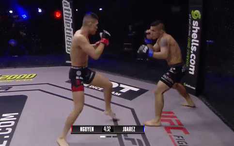 JORGE JUAREZ, tin tức Mới nhất Võ sĩ gốc Việt tung đòn tay mạnh "như ...