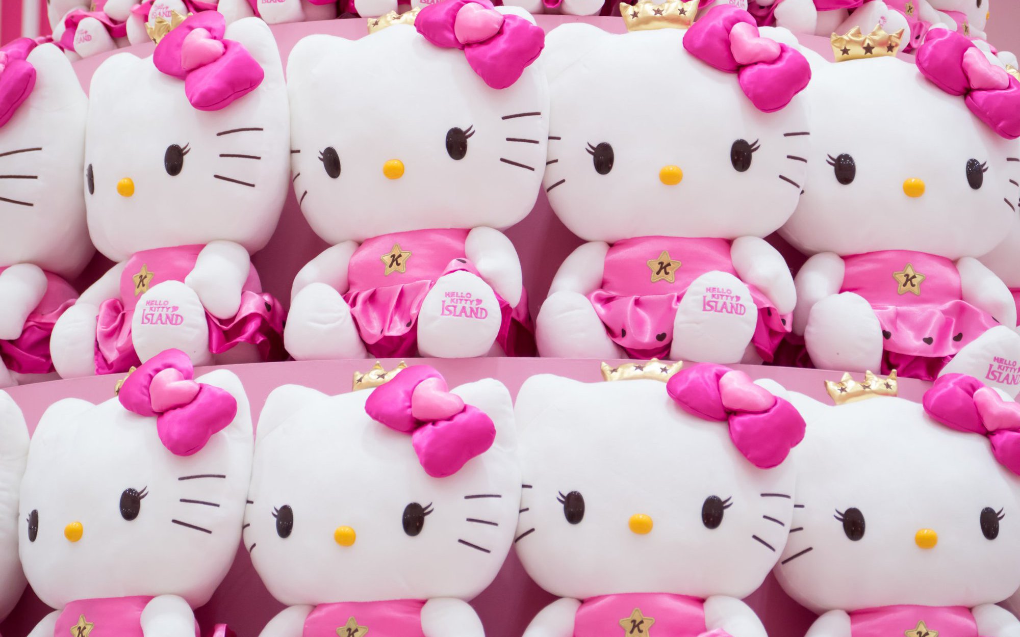MÈO KITTY, tin tức Mới nhất Những lý do giúp Hello Kitty trở thành biểu ...