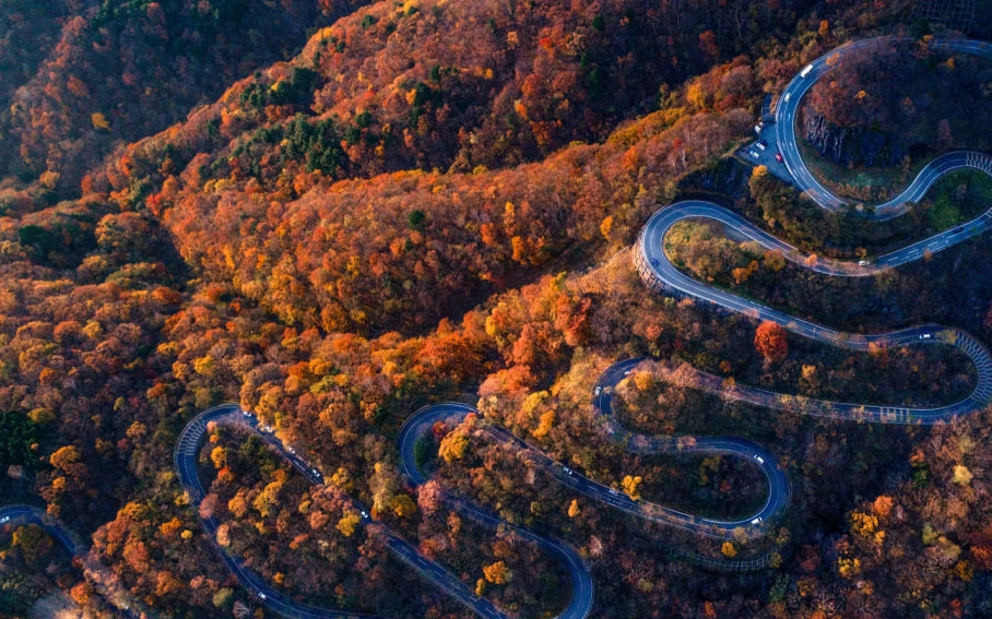 CON ĐƯỜNG LÃNG MẠN, tin tức Mới nhất "Con đường lãng mạn" Nhật Bản ...