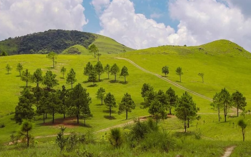 SAM CHIÊM, tin tức Mới nhất Đắm chìm trong thảo nguyên xanh mướt "không ...