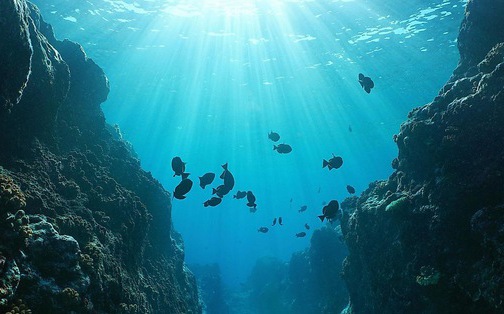 DƯỚI ĐÁY BIỂN, tin tức Mới nhất Tiếng động lạ dưới biển Thái Bình Dương ...