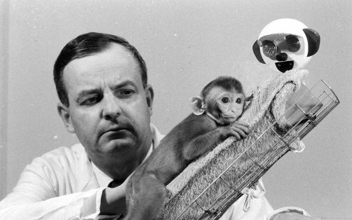 THÍ NGHIỆM CỦA HARRY HARLOW, tin tức Mới nhất 3 thí nghiệm khoa học tàn ...