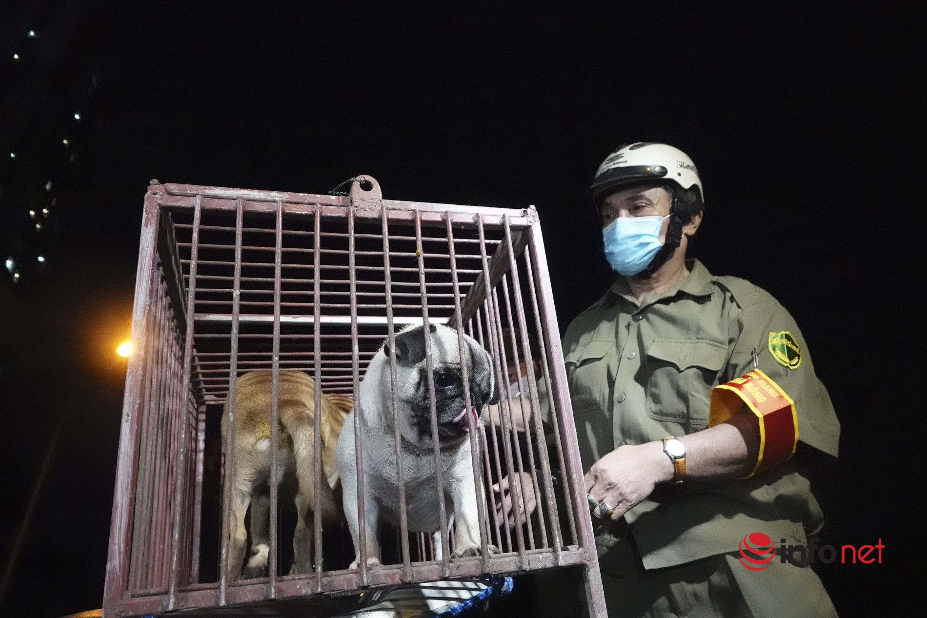 Bắt chó thả rông trên đường phố Hà Nội