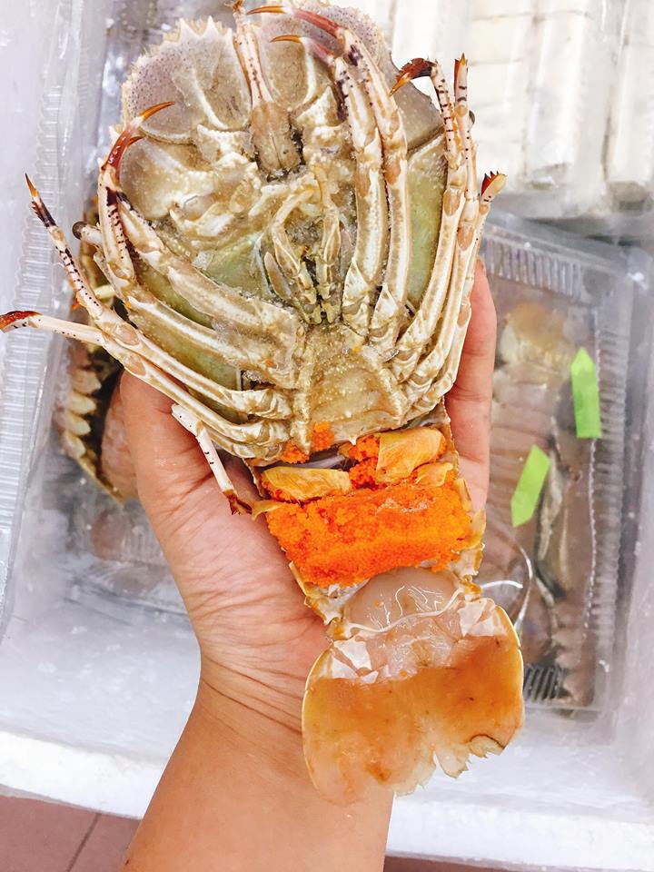 Ăn tôm mũ ni bấy lâu không phải ai cũng biết cách bóc vỏ nhàn tênh này ...