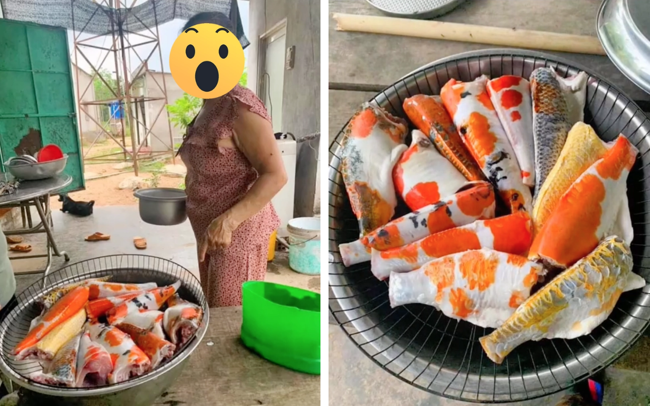 CÁ RÁN, tin tức Mới nhất Mâm cá rán "tiền tỷ" khiến nhiều người nhìn ...