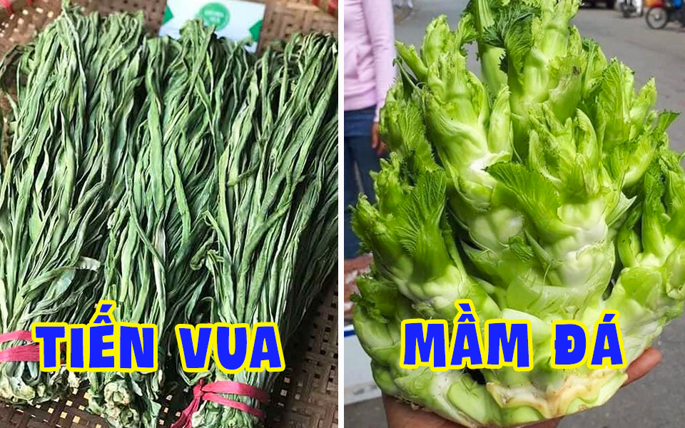RAU ĐẮT, tin tức Mới nhất Việt Nam có 4 loại rau giá đắt hơn cả thịt cá ...