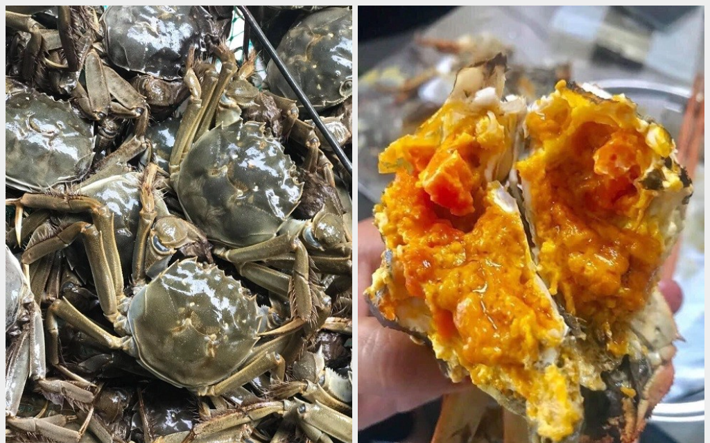 CUA DA, tin tức Mới nhất Loại cua chỉ có ở Bắc Giang, xưa giá siêu rẻ ...