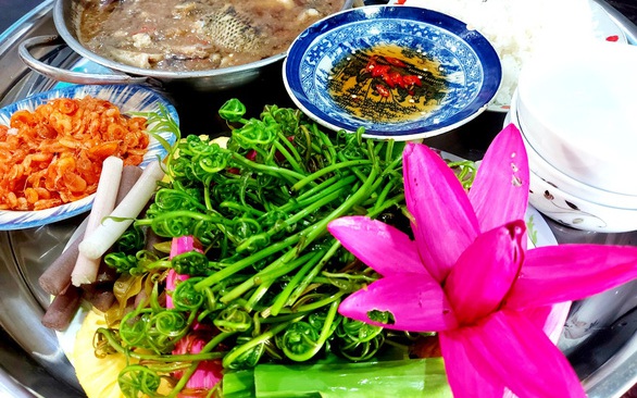 ĐỌT CHOẠI, tin tức Mới nhất Đọt choại nhúng lẩu mắm cá đồng hao cơm ...