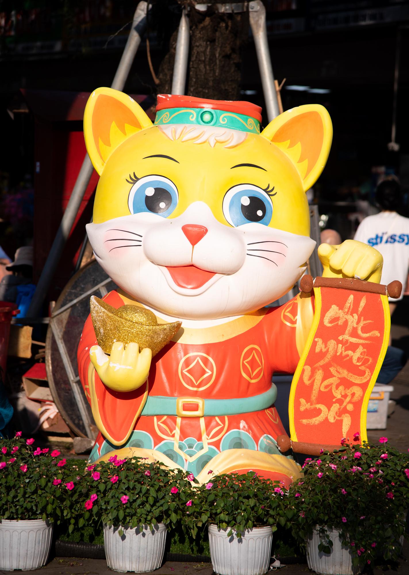 Đàn mèo ở Huế xuất hiện: Con được khen không tiếc lời, con bị chê giống ...