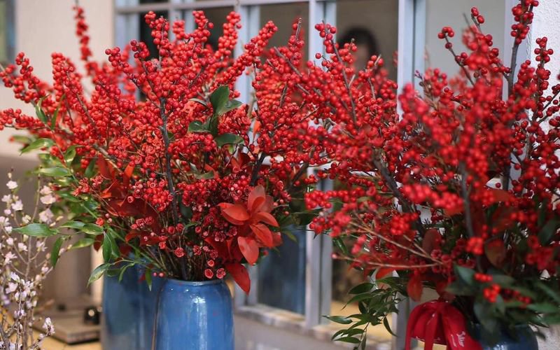 CÀNH CÂY CẢNH, tin tức Mới nhất 5 loại cành quả khiến chị em thích mê ...