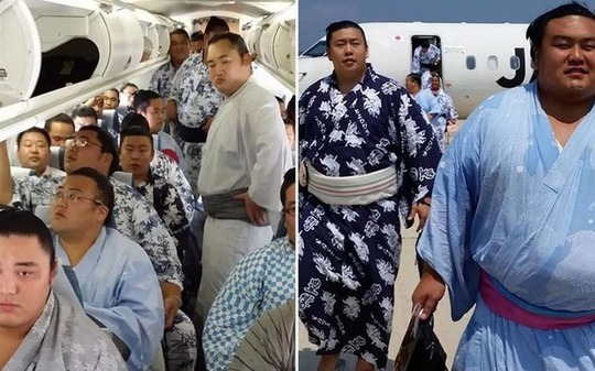 VĐV SUMO, tin tức Mới nhất Đoàn sumo rầm rộ lên máy bay khiến hãng hàng ...