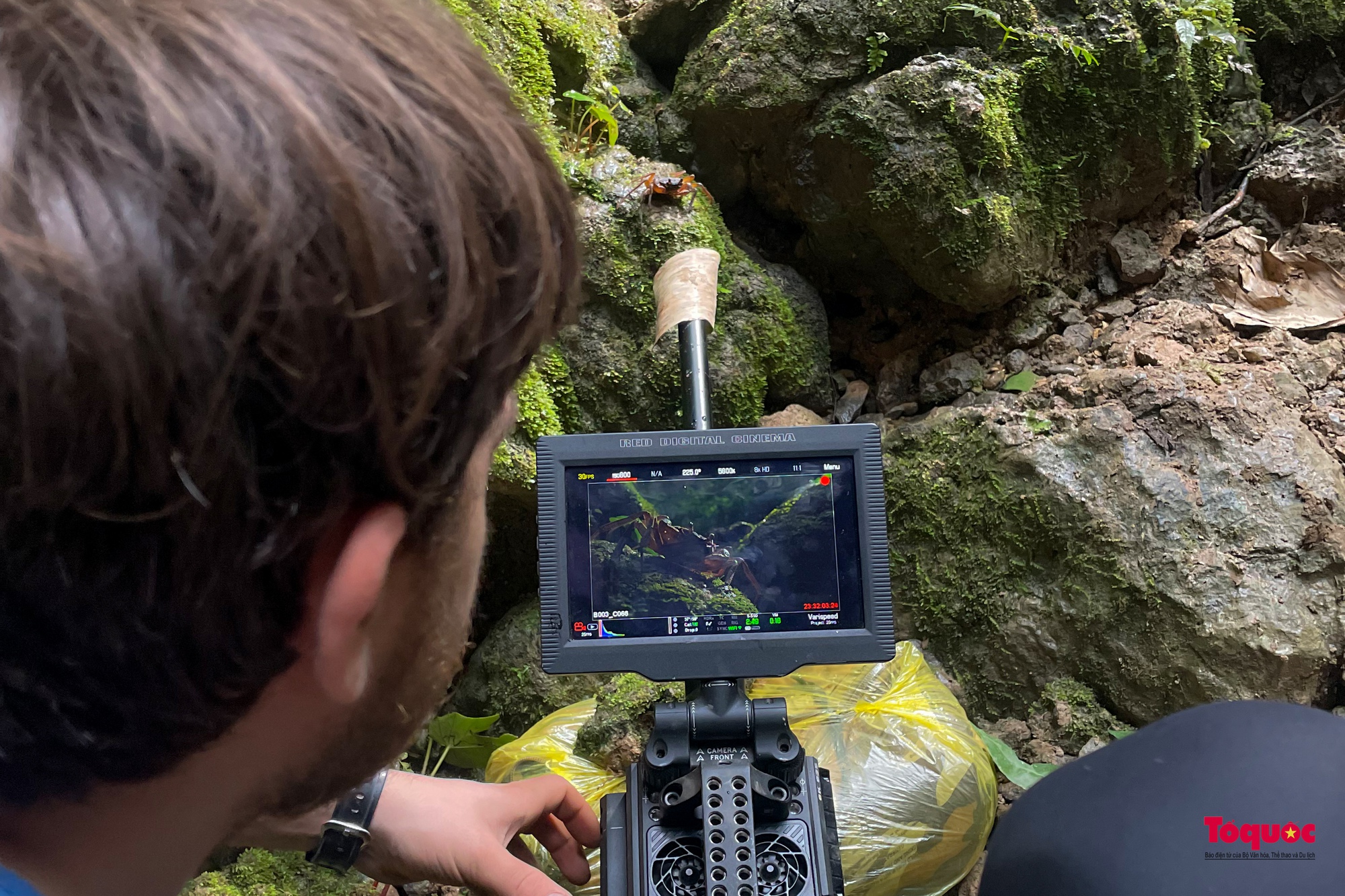 Hình ảnh ấn tượng ở Hang Sơn Đoòng xuất hiện tại phim Planet Earth III