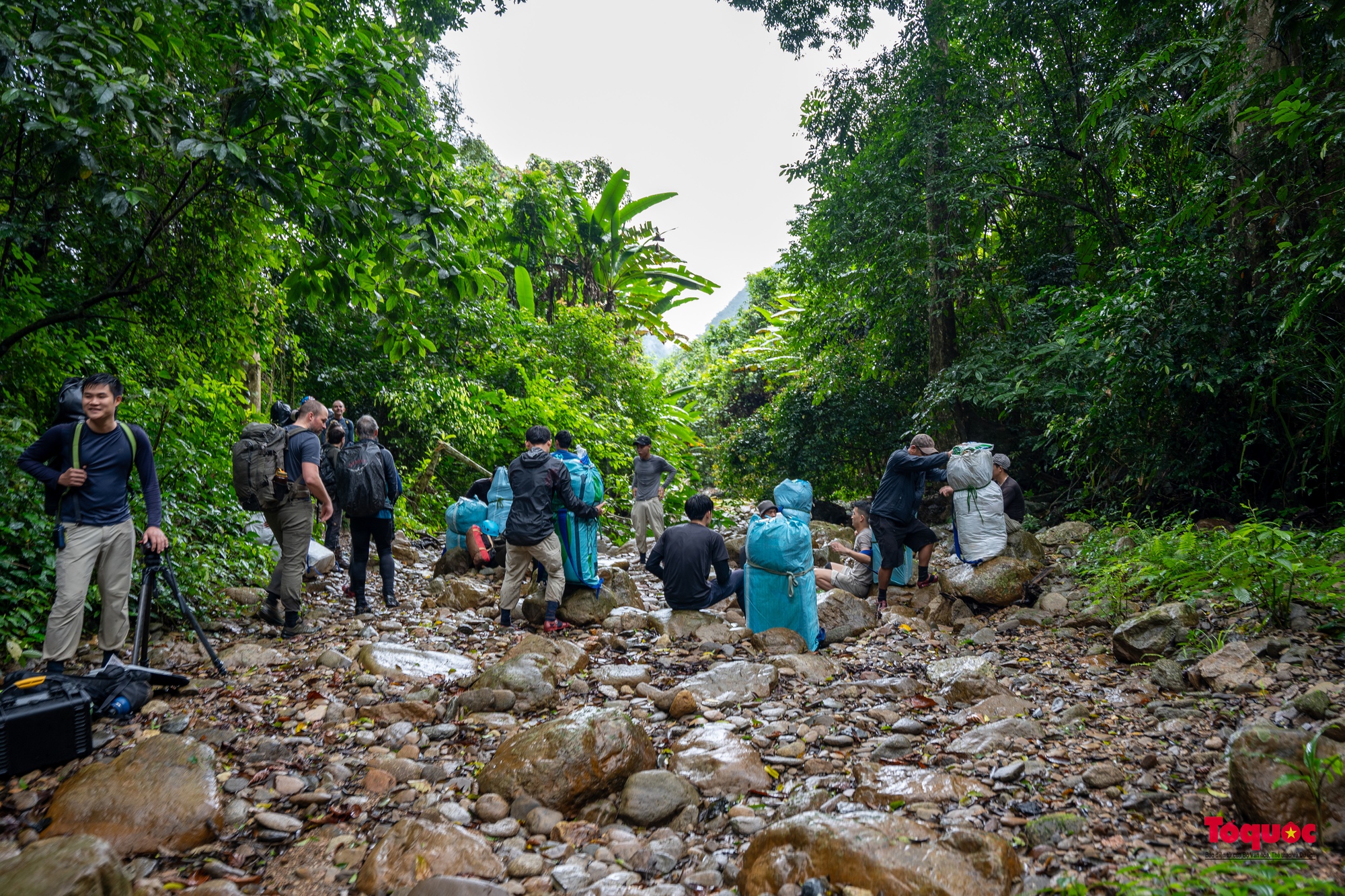 Hình ảnh ấn tượng ở Hang Sơn Đoòng xuất hiện tại phim Planet Earth III