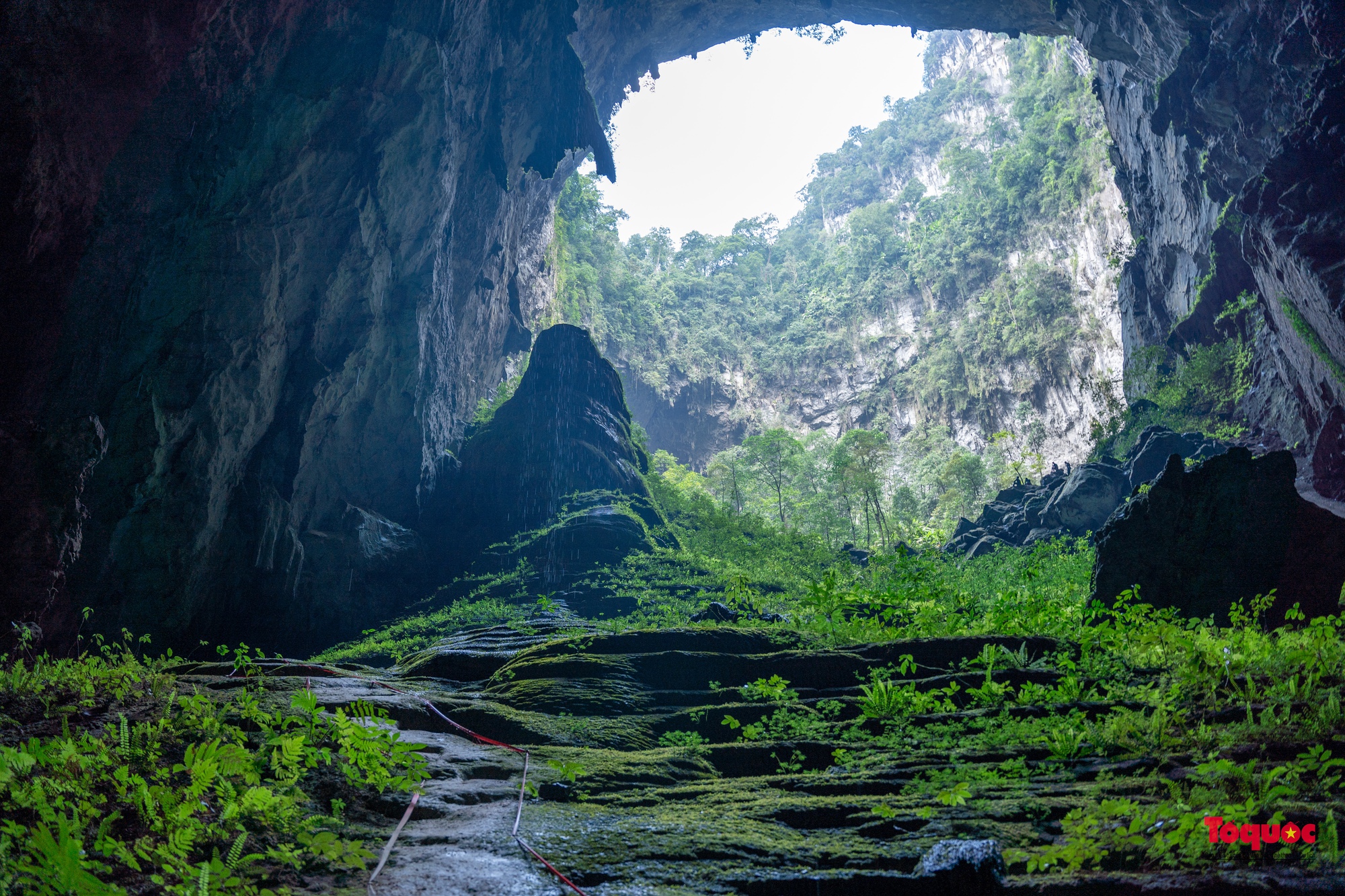 Hình ảnh ấn tượng ở Hang Sơn Đoòng xuất hiện tại phim Planet Earth III