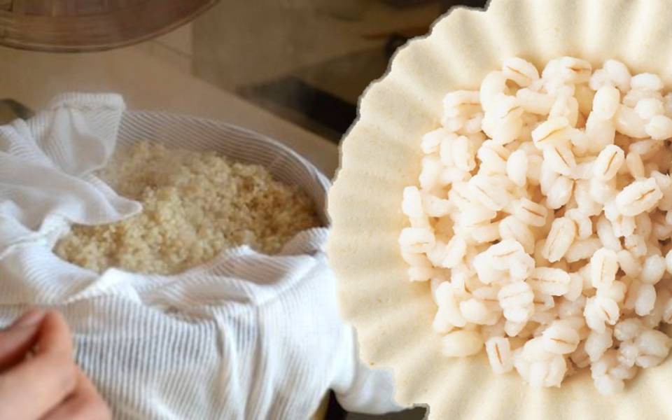 GẠO LÚA MẠCH MOCHI MUGI, tin tức Mới nhất Loại gạo vàng của người Nhật ...