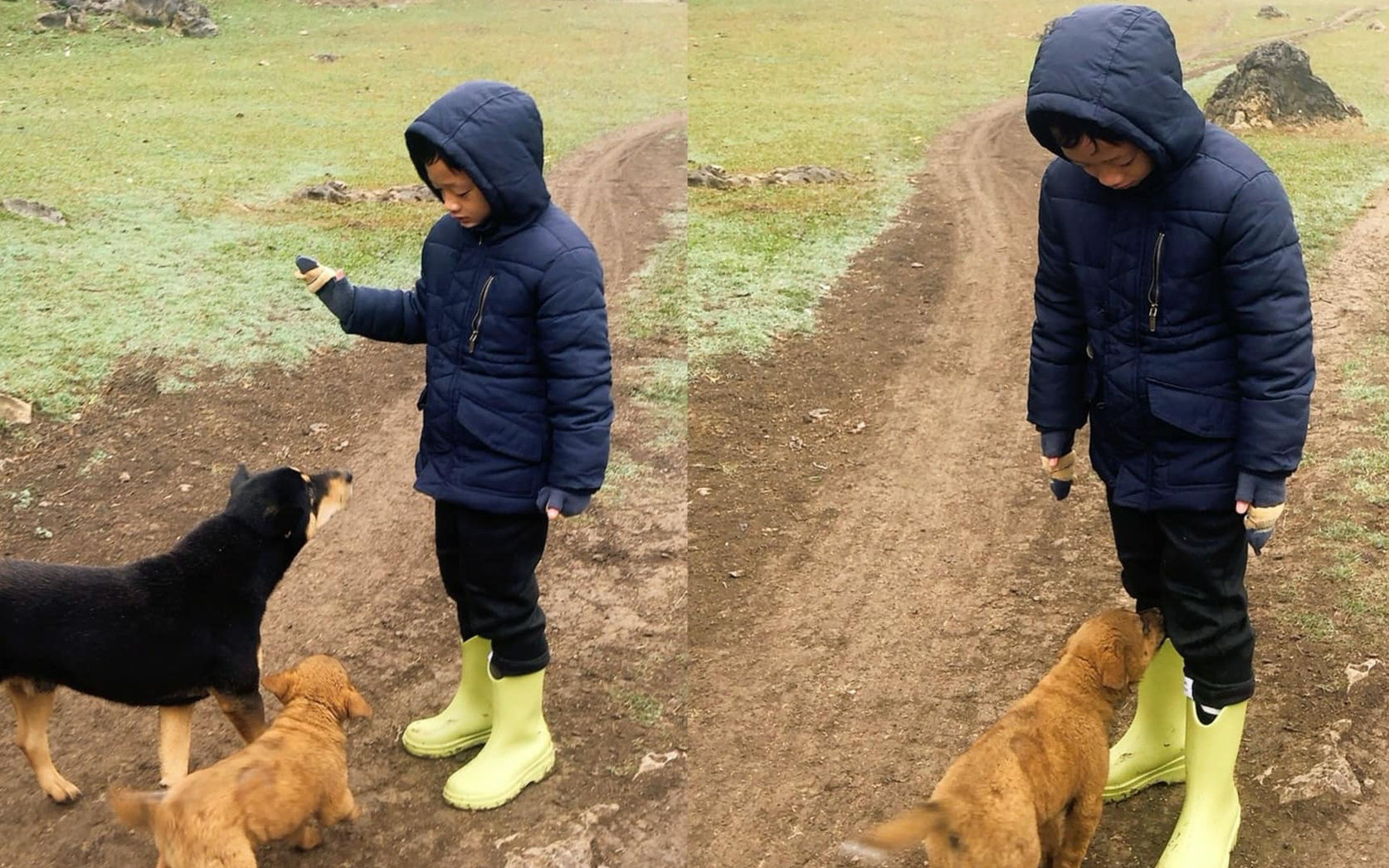 Ly Kute - Tin tức, hình ảnh, clip, sự kiện mới nhất - Kenh14