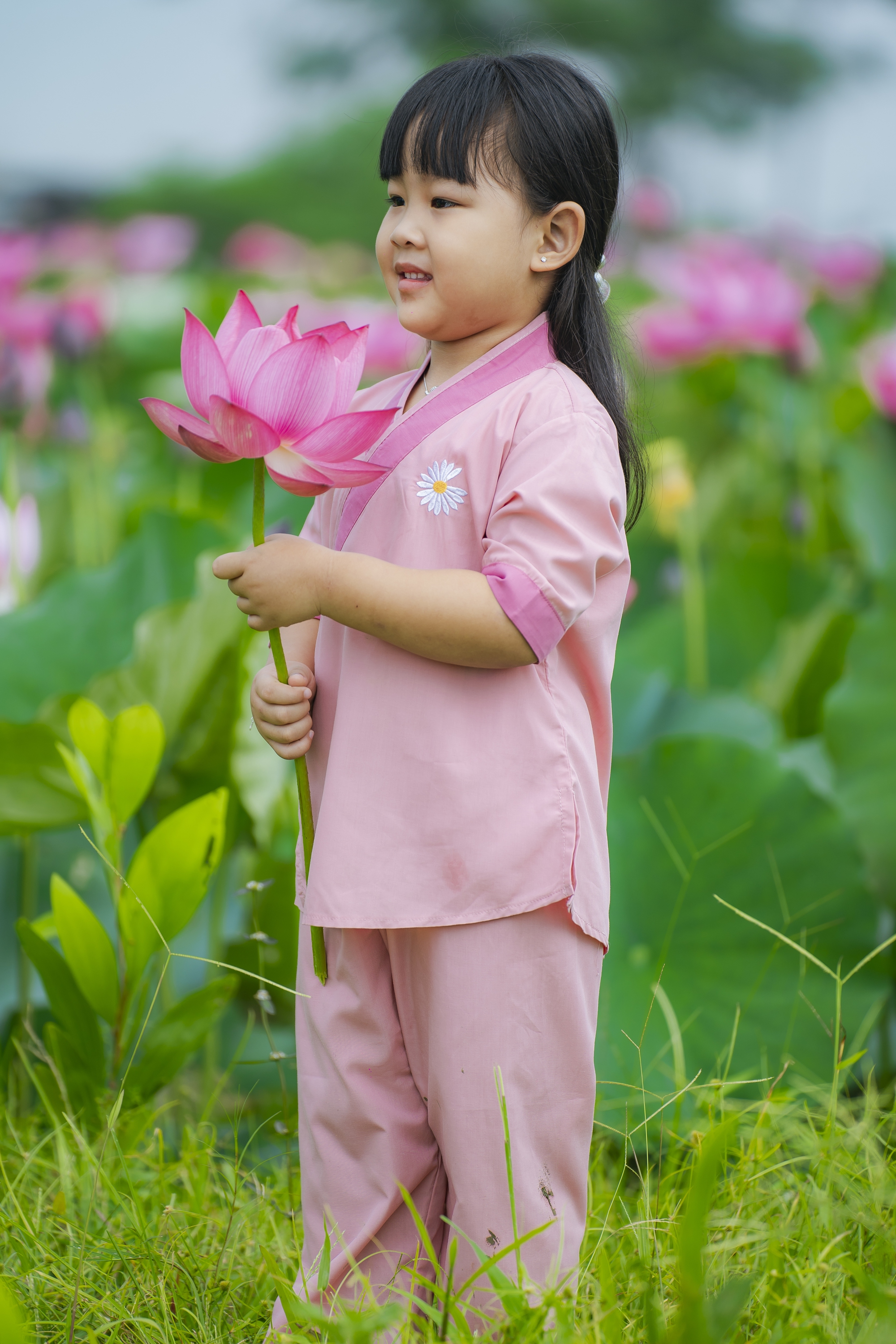 Vẻ đẹp bình yên mùa sen xứ Huế