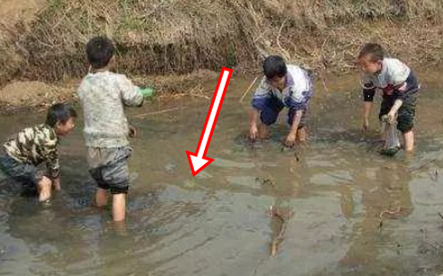 ĐI BẮT CÁ TÌM ĐƯỢC VẬT KỲ LẠ, tin tức Mới nhất Đi bắt cá 4 học sinh ...